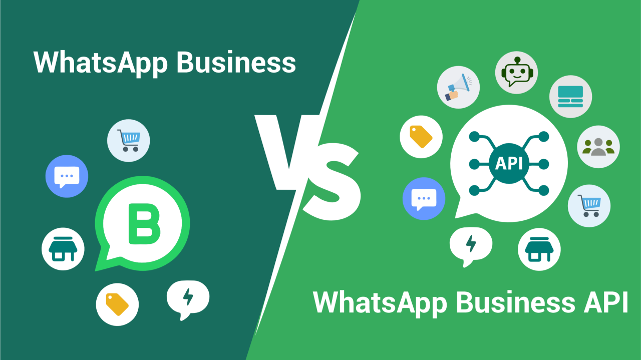 Differences between WhatsApp Business App and WhatsApp Business API